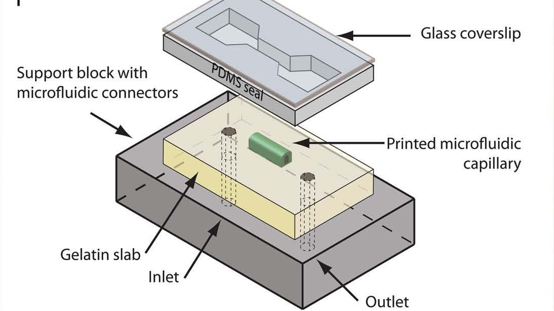 Optimized 3D inkjet printing process of hydrogels. - EPFL