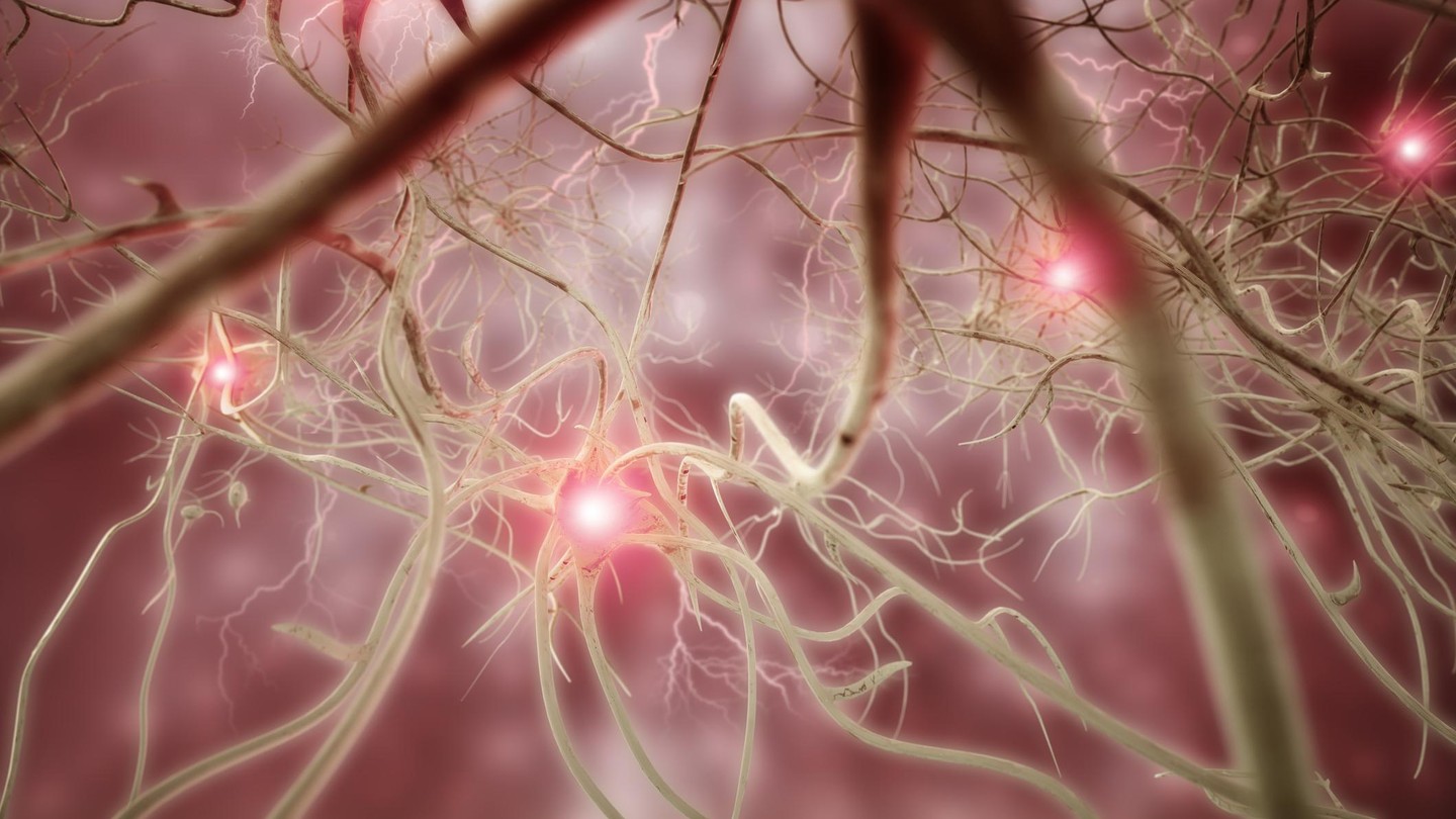 Interneuron plasticity initiates the rewiring of the auditory cortex - EPFL