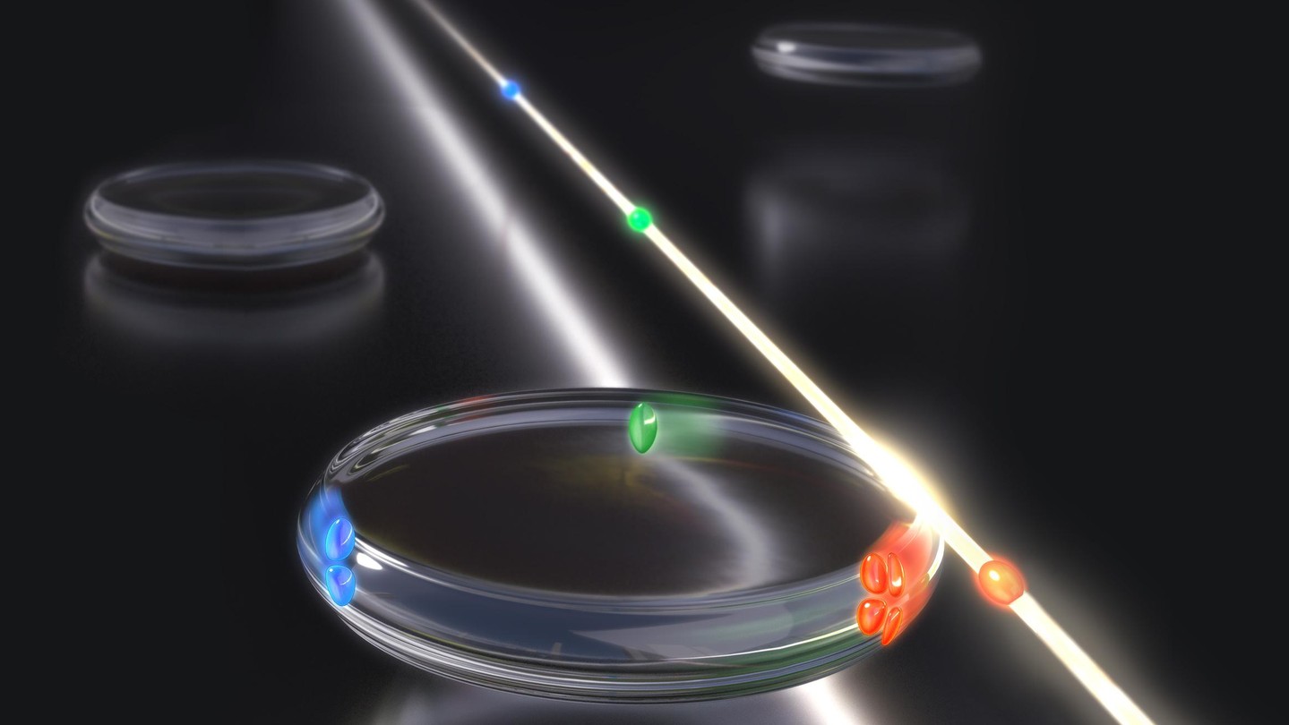Microresonators offer a simpler approach to sensing with light pulses ...