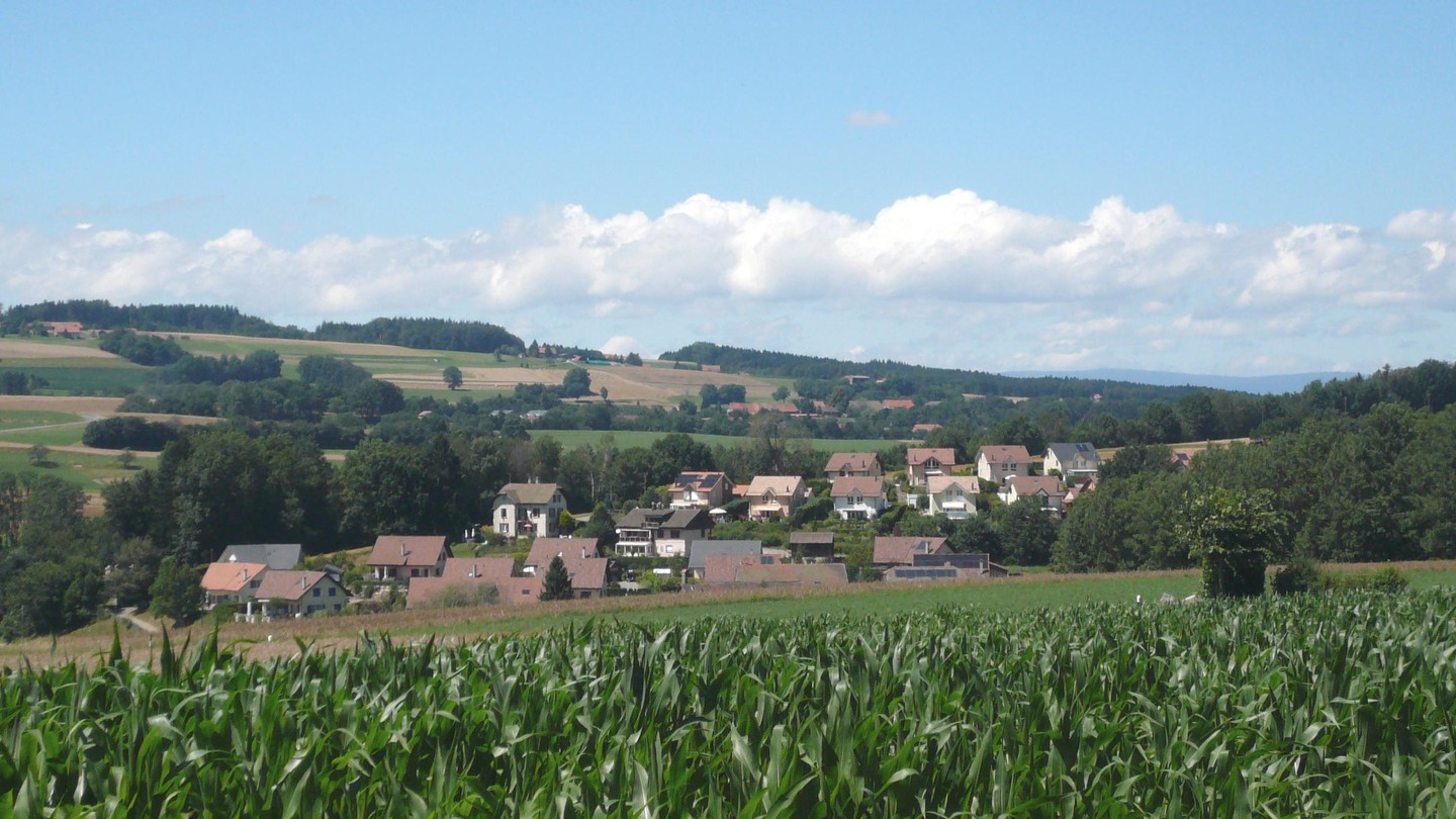 Contribution To The Book Densifier Dédensifier Epfl