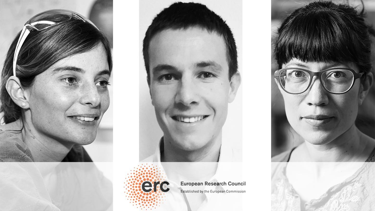 ERC Consolidator Grants awarded to three Basic Sciences professors - EPFL