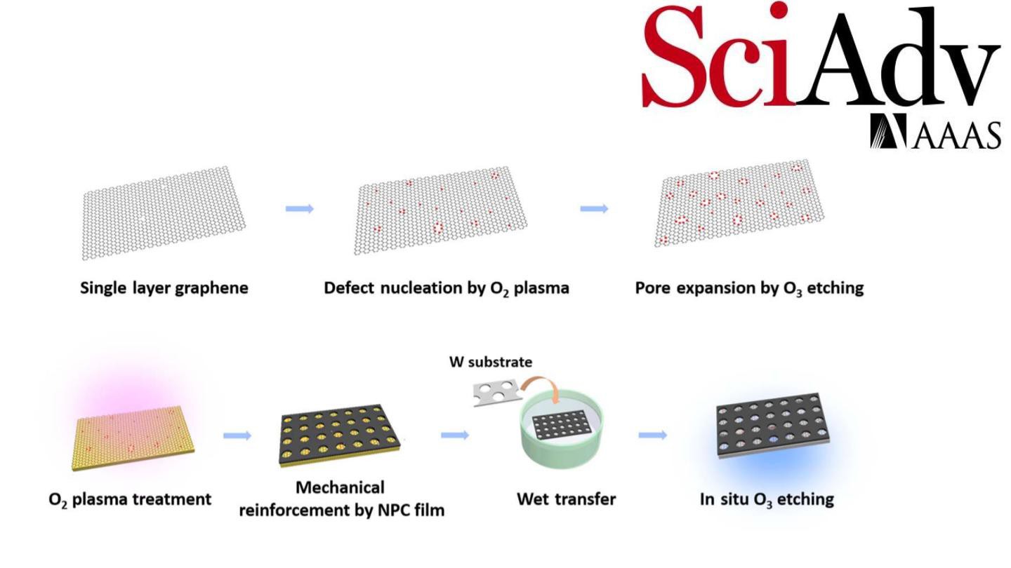 Jing s Work Has Been Published In Science Advances EPFL jing-s-work-has-been-published-in-science-advances-epfl