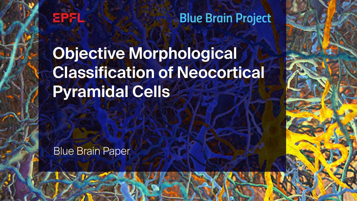 Blue Brain solves a century-old neuroscience problem - EPFL