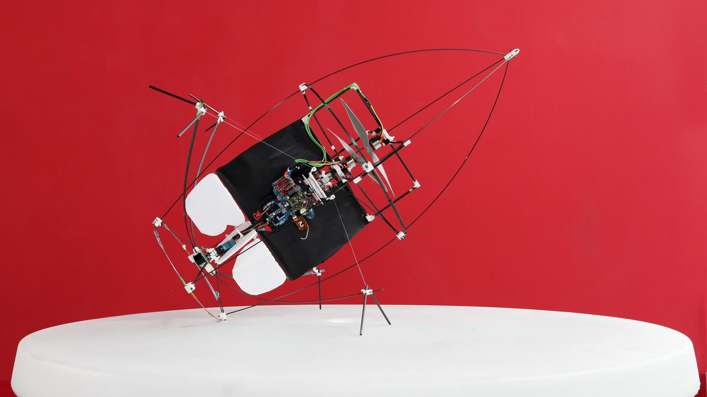 Le robot qui retombe toujours sur ses pattes - EPFL