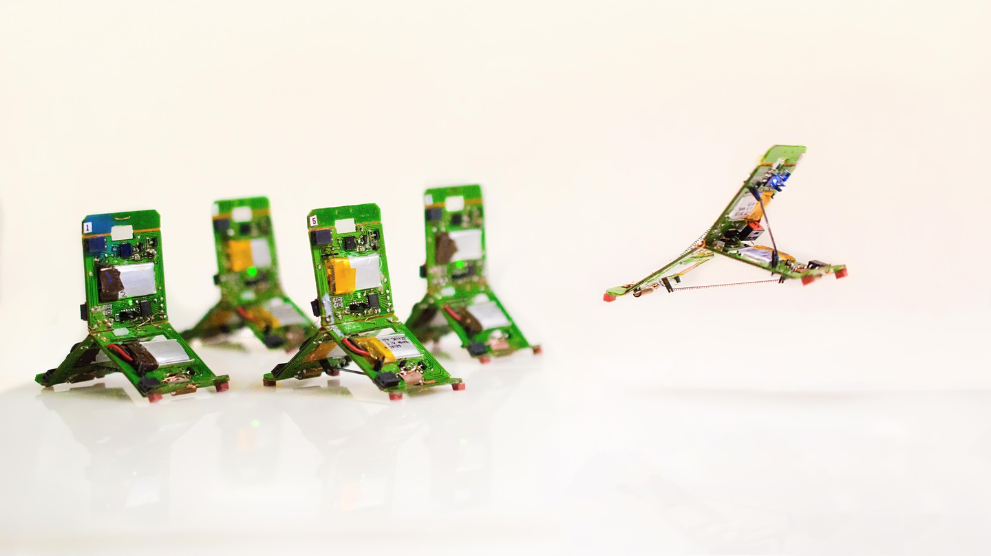 Robot-ants that can jump, communicate and work together - EPFL