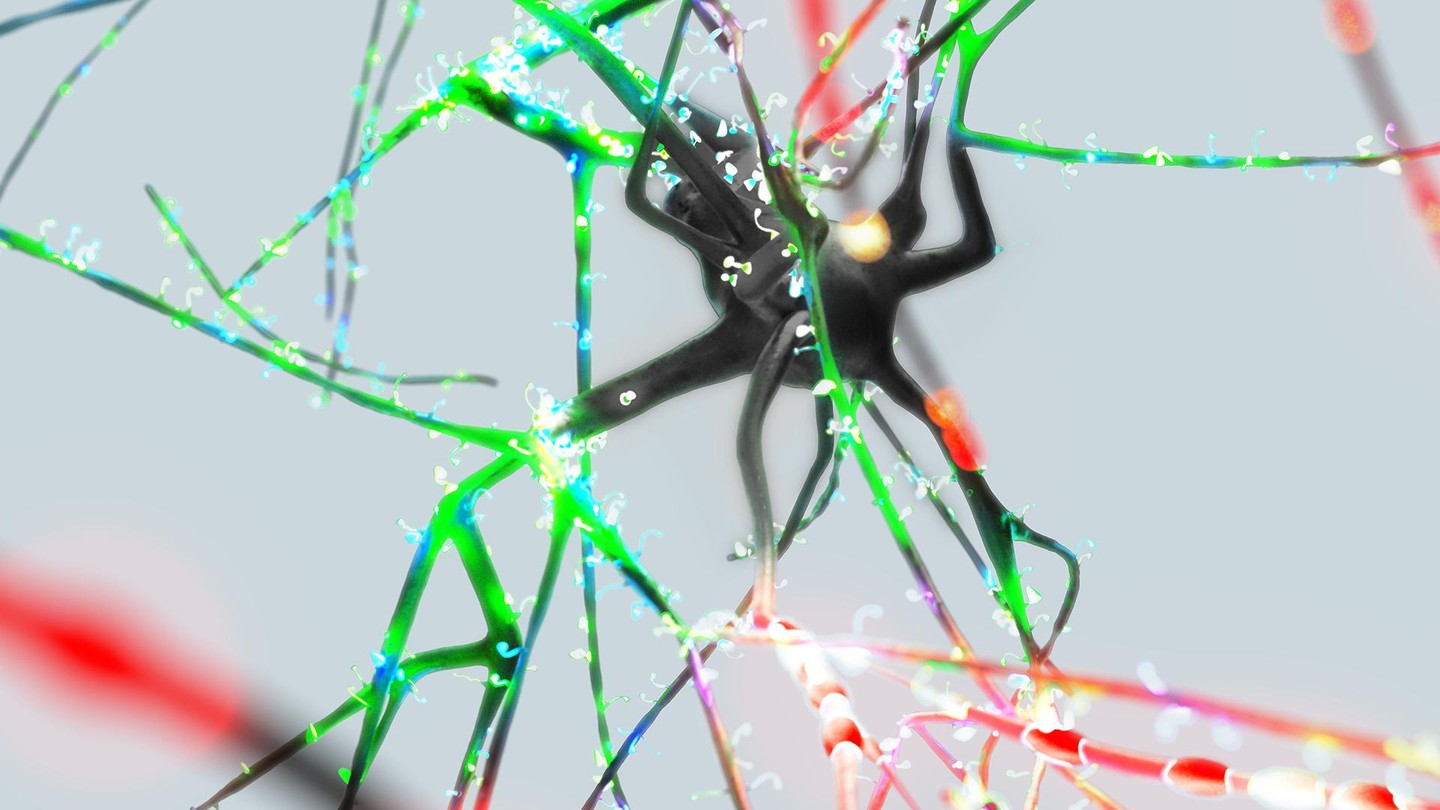 The way a single neuron processes information is never the same - EPFL