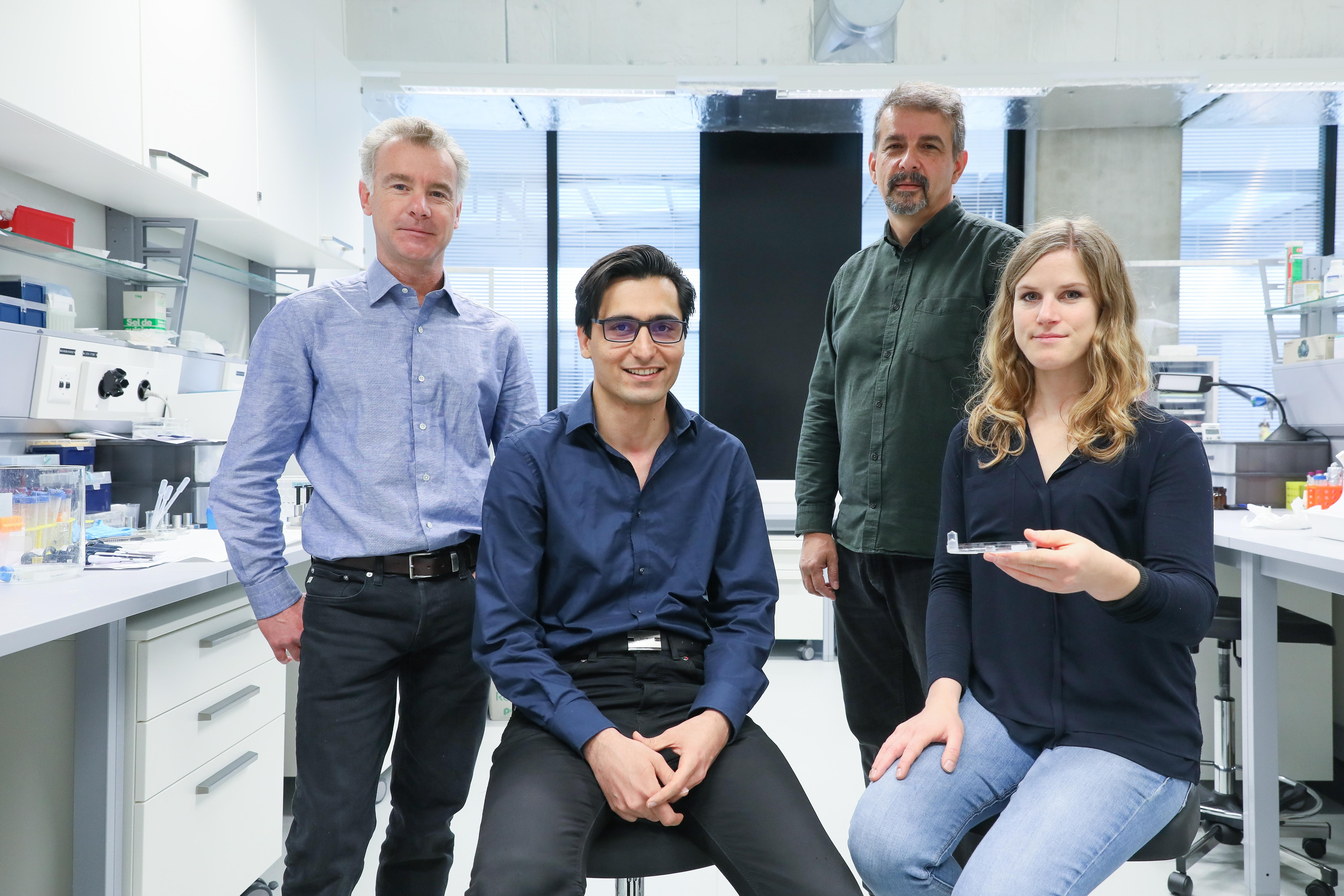 A hydrogel that adheres firmly to cartilage and meniscus - EPFL