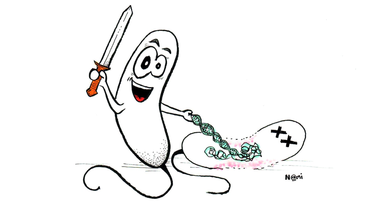 New publication on horizontal gene transfer accepted in eLife - EPFL