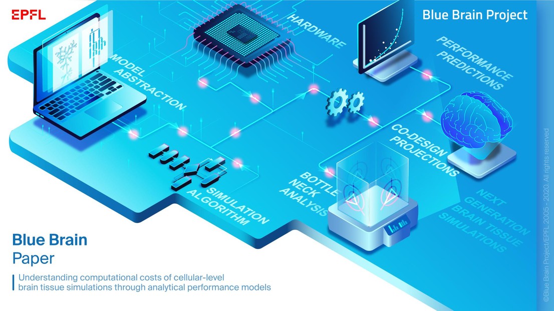Enabling next generation brain simulations with performance modelling - EPFL