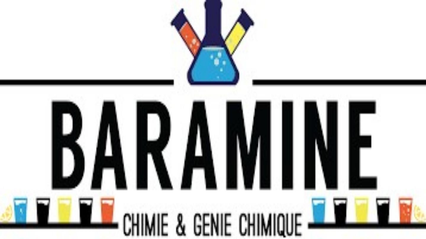 Comité Baramine 2020-2021 - EPFL