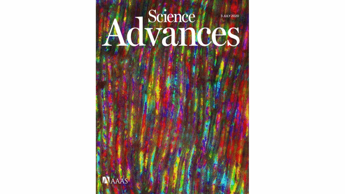 Article - Science Advances - EPFL