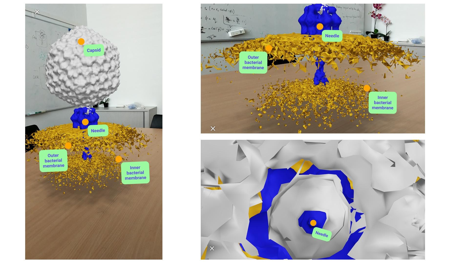 Augmented reality helps chemistry and biology courses - EPFL