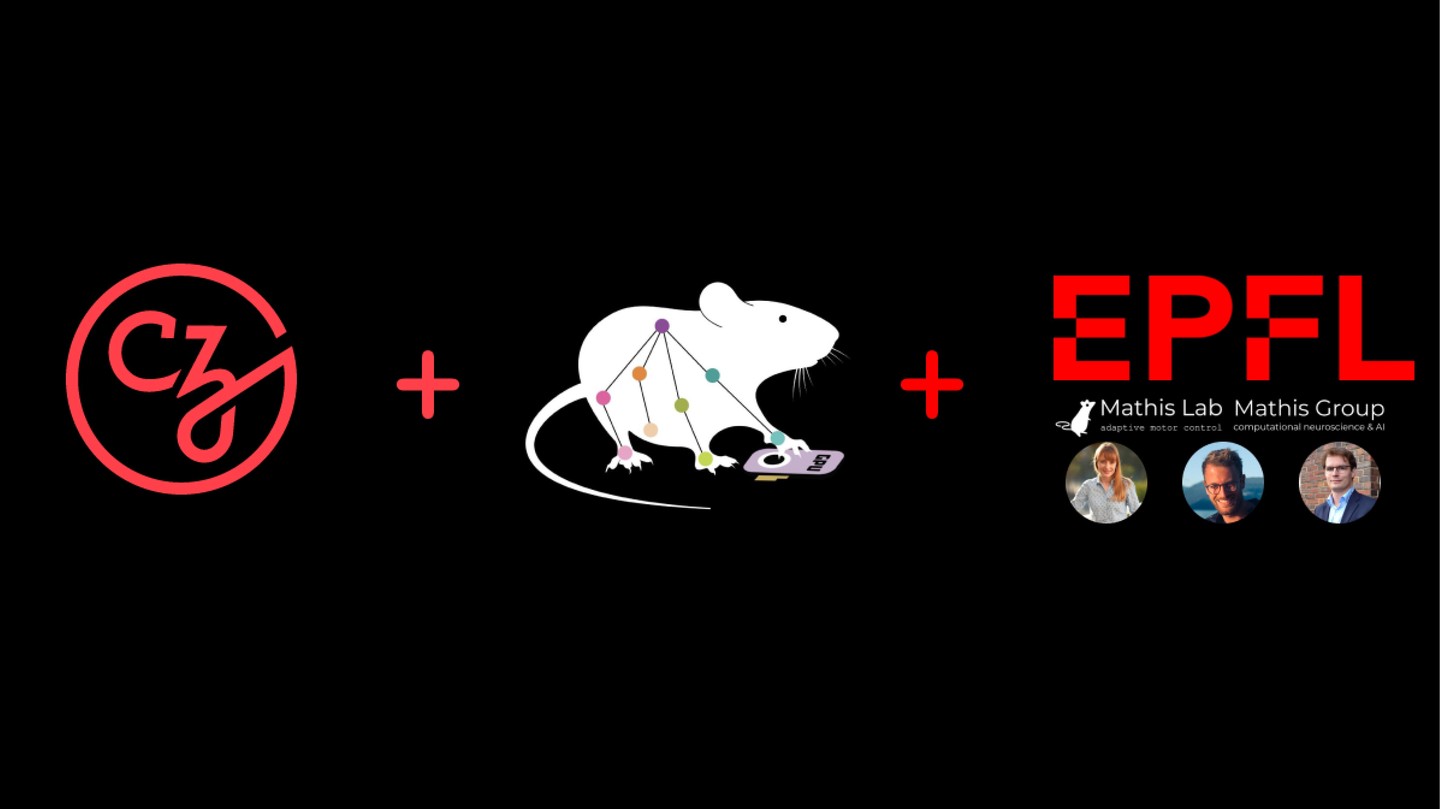 Mathis Lab and Mathis group receive funding from CZI - EPFL